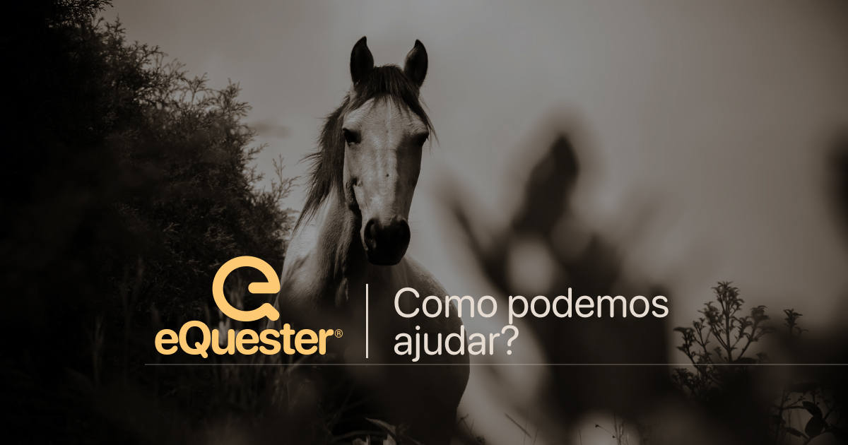 eQuester | Como podemos ajudar?